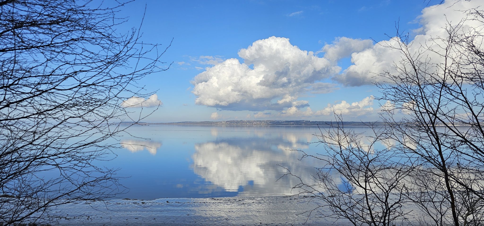 Personal Inputs to Improve Life in All Areas - Traineuro - THE BRAIN ...